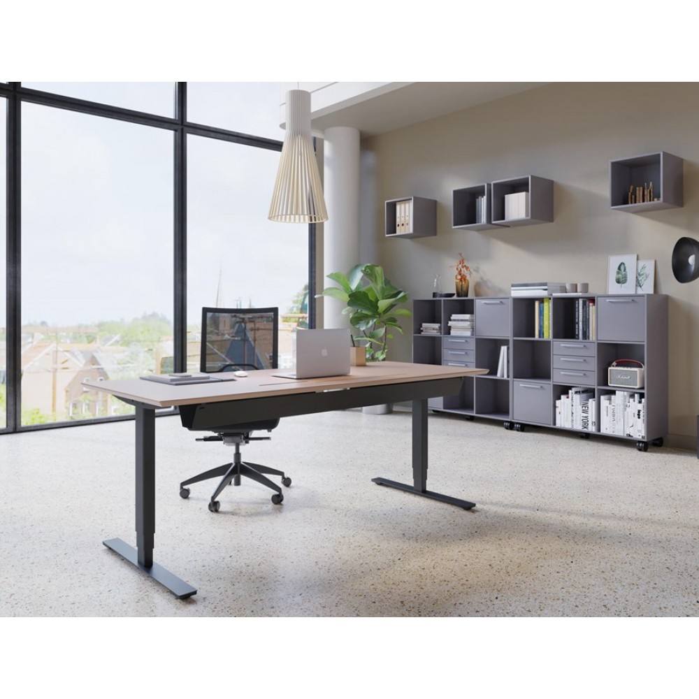 tweedehands Dencon Delta Linak zit-sta frames Hoogte instelbare bureaus ...